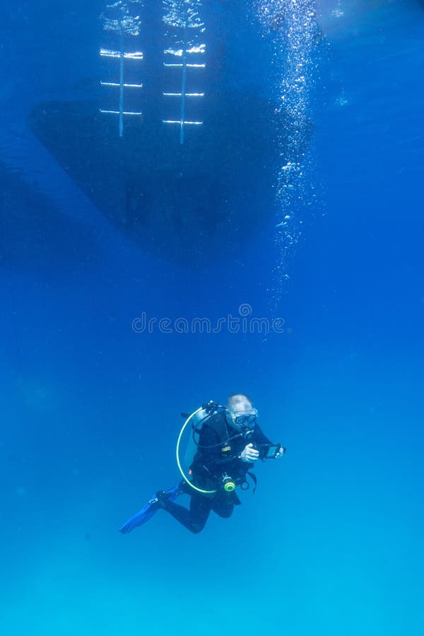 Photo Verticale D'un Plongeur Sous-marin Image stock - Image du wetsuit ...