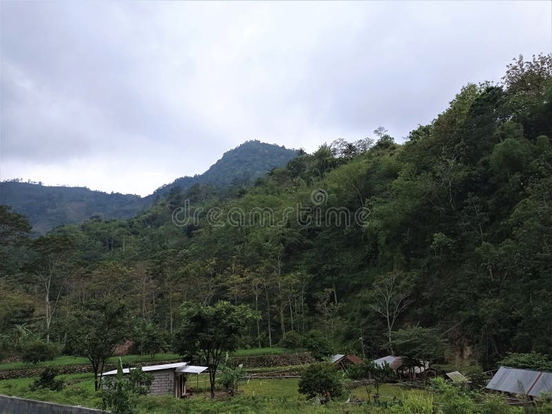 Photo View of the Beautiful Mountain and the Verdant Rice Fields Below ...