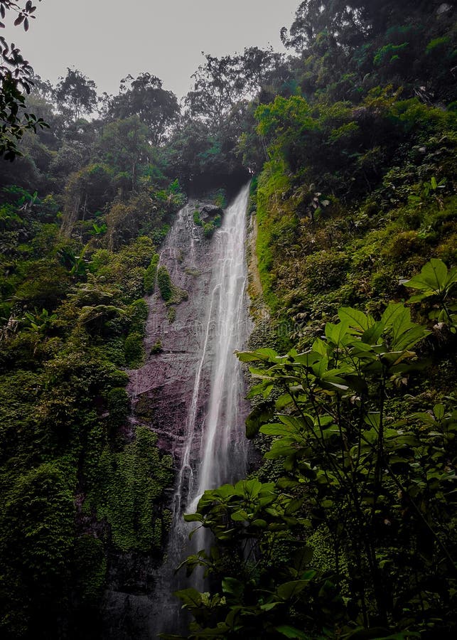 Photo of Views of Waterfalls and Trees Stock Photo - Image of views ...
