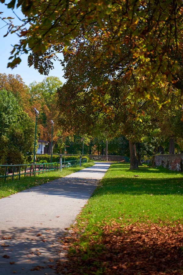 Photo of a Walking Path in a City Recreation Park in Summer Stock Image ...