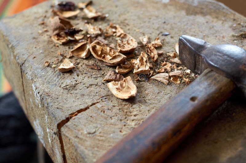 Photo of Walnut Shells and a Hammer Stock Photo - Image of hammer ...