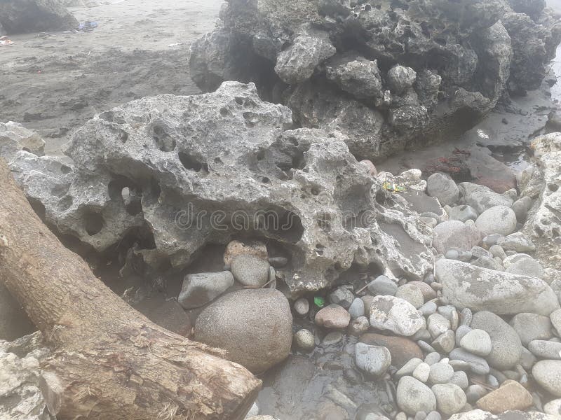 Photography of Rocks on the Java Beach Good for Natural Background ...