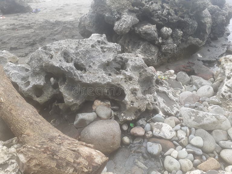 Photography of Rocks on the Java Beach Good for Natural Background ...