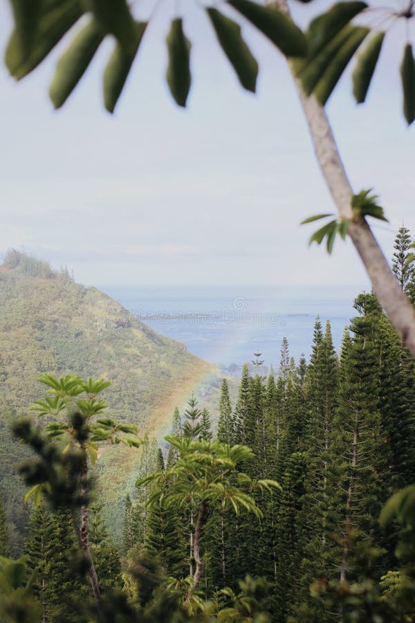 Hauula Loop Stock Photos - Free & Royalty-Free Stock Photos from Dreamstime