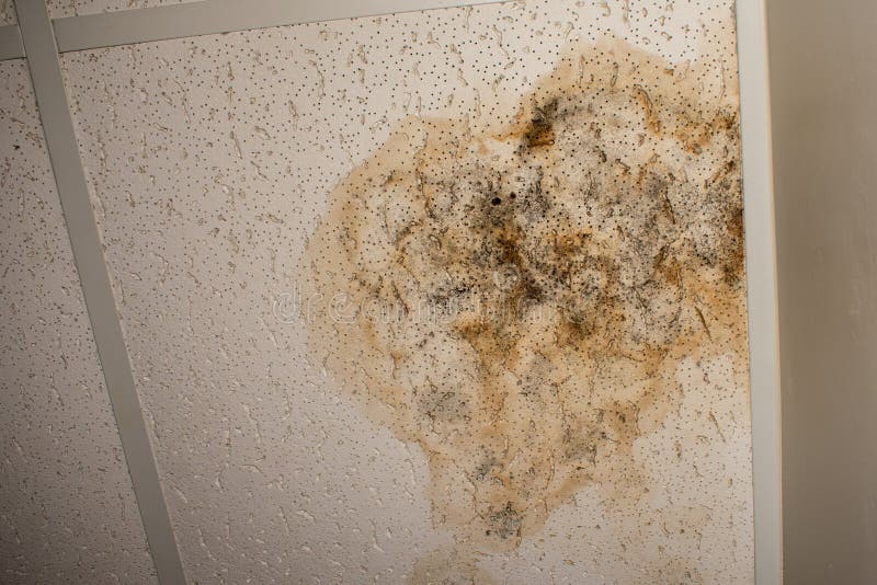 Phootography of Water Damage Ceiling Tile Stock Photo - Image of rough ...