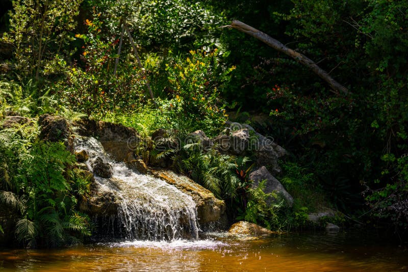 Photo of a Water Fall in Nature Stock Photo - Image of fall, water ...