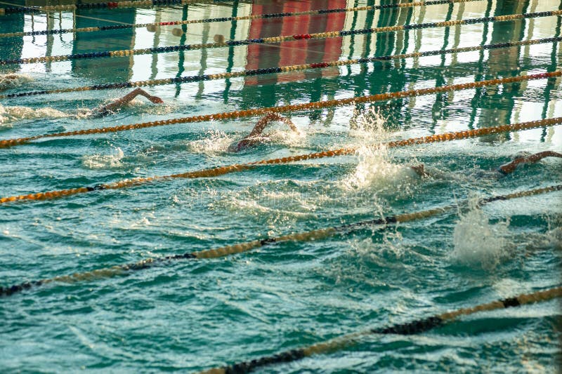 Photo of Water Splash in Swimming Pool Stock Photo - Image of inhaling ...