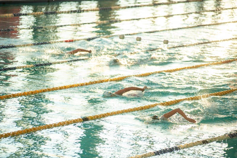 Photo of Water Splash in Swimming Pool Stock Photo - Image of drops ...