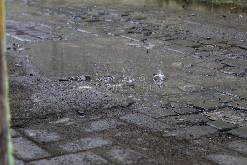 Photo of Water Splashing from a Puddle, the Effect of Raindrops Stock ...
