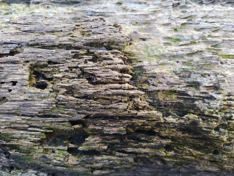 A Photo of the Weathering Pattern on a Wood Bomb Stock Photo - Image of ...