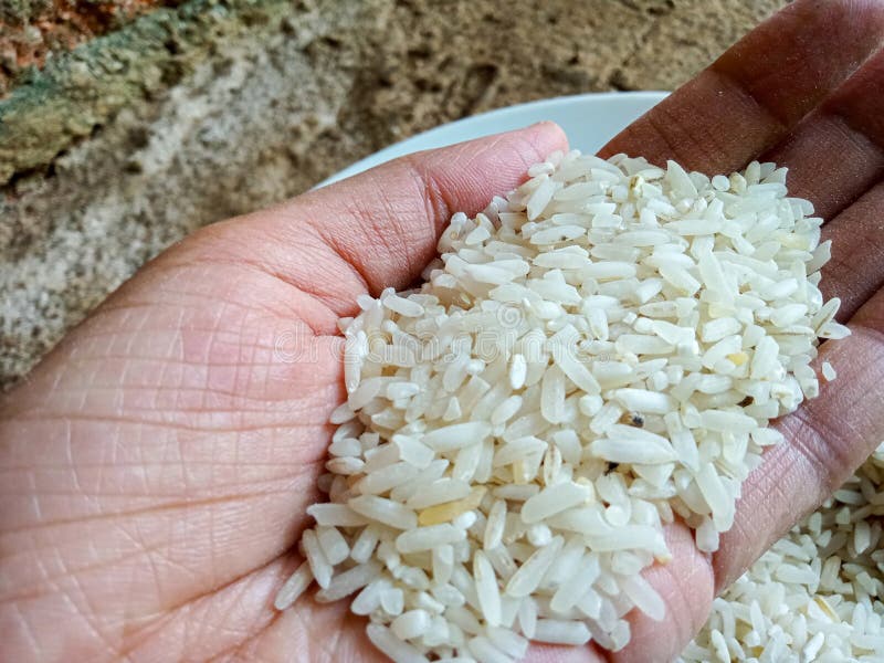 Photo of White Rice in One Handful Stock Photo - Image of white ...