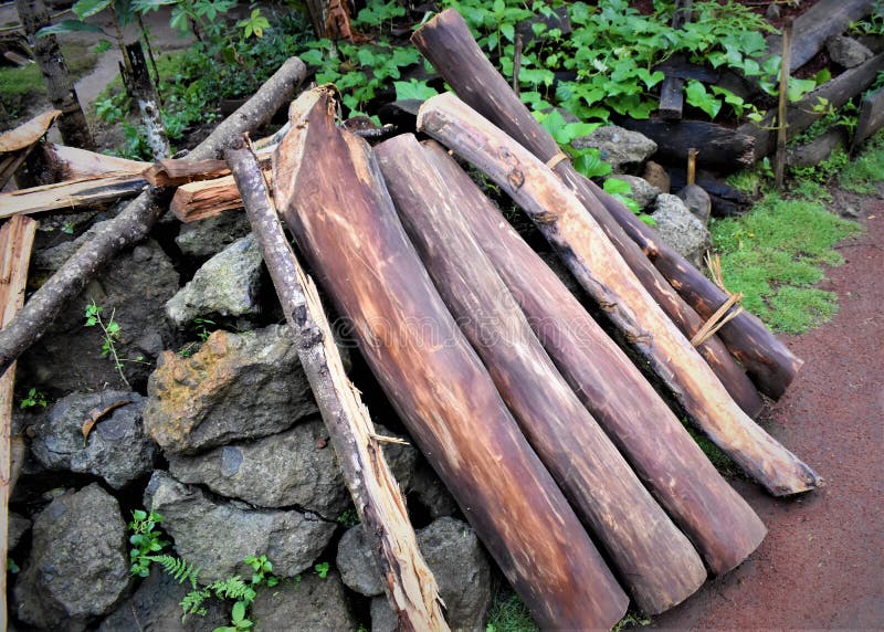 Photo of Woods for Building Material Stock Image - Image of grain ...