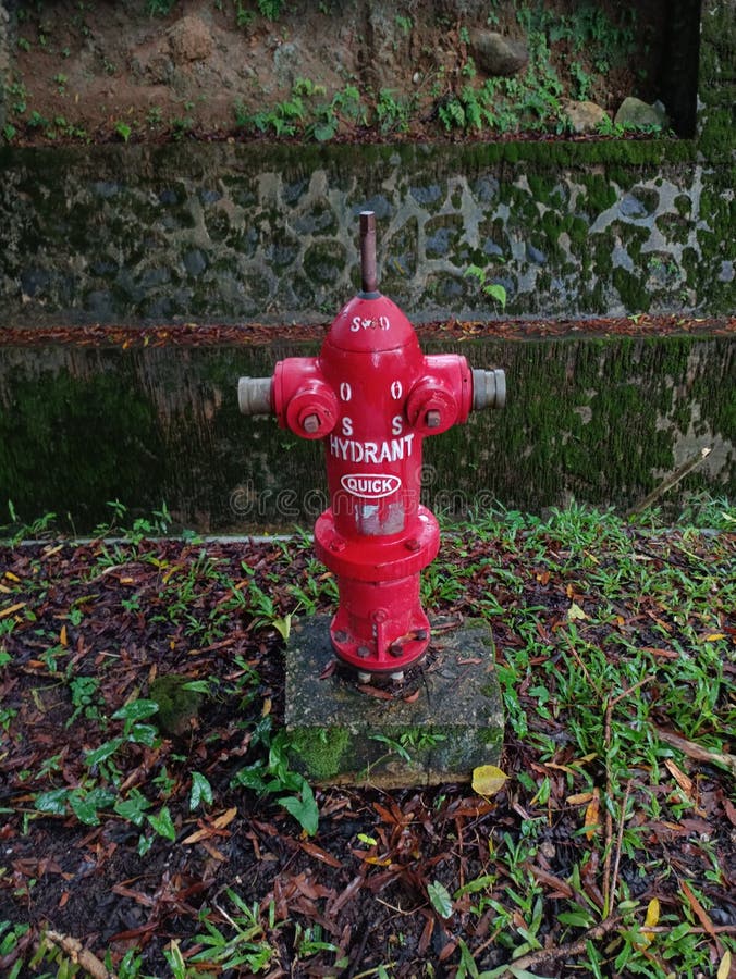 Fire Hydrant, with Red Color Stock Image - Image of green, park: 340349173