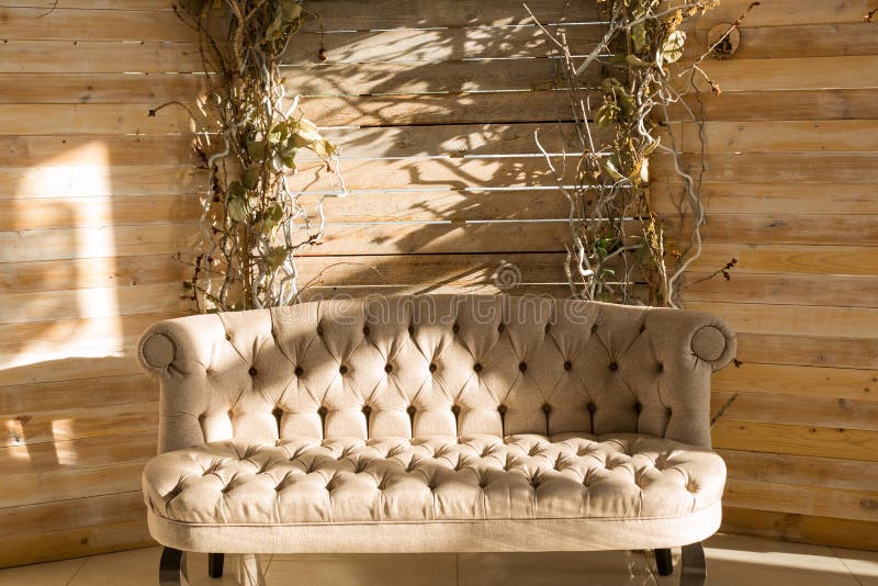 Photo zone in the studio stock image. Image of vine - 133895699