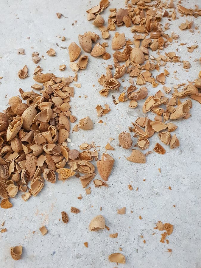 Almond Shells Heaped and Dried in Soft Light Stock Image - Image of ...