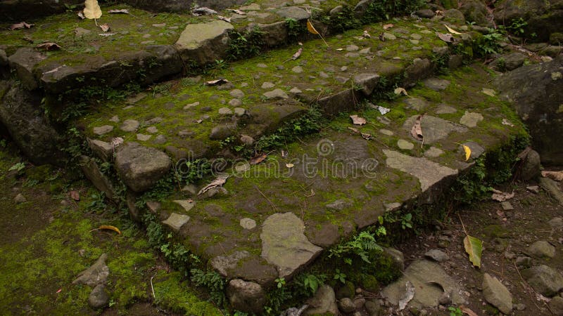 Mossy Natural Stone Steps – Rustic Pathway Design Stock Photo - Image ...