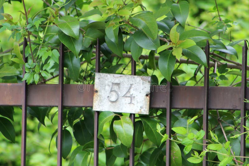 House number stock photo. Image of numbers, leaf, grass - 276981548
