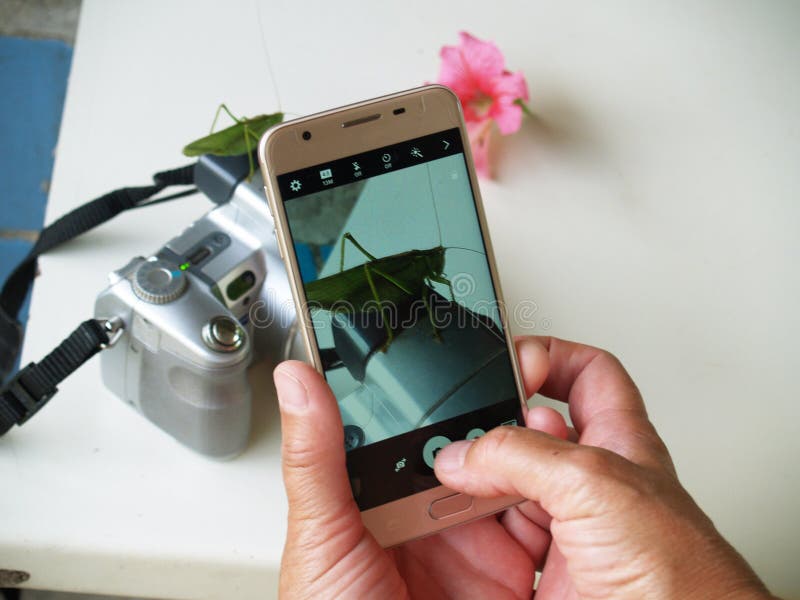 Photograph on phone stock image. Image of phone, reality - 107397289