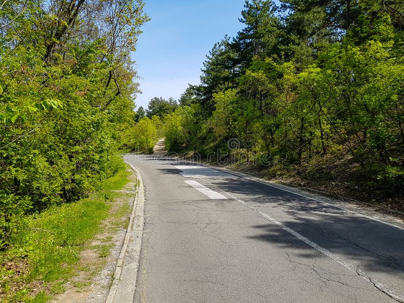 A Photograph of Repaired Road in the Forest Stock Image - Image of ...