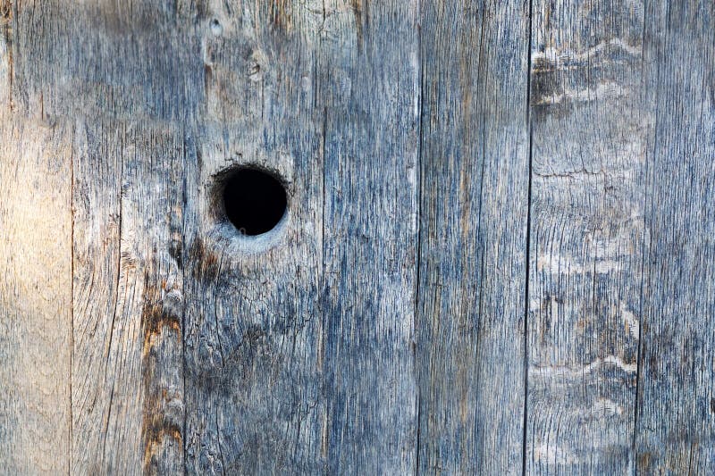 An Old Barrel. Natural Background. Stock Photo - Image of lovely ...