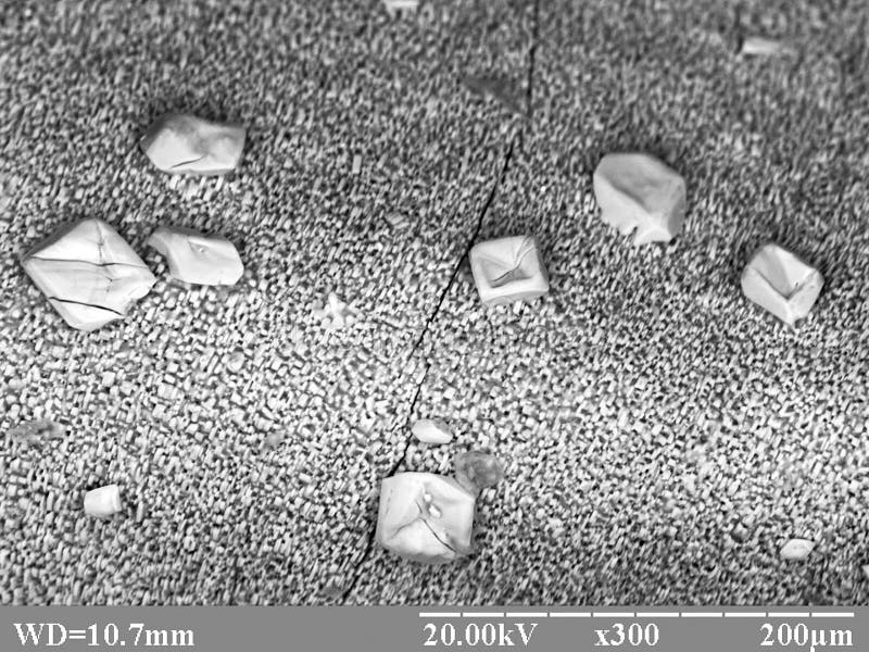 Electron Microscope Crystals Stock Photos - Free & Royalty-Free Stock ...