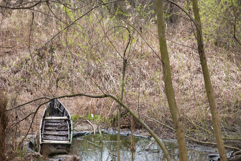 Photographed spring park stock image. Image of green - 68228333