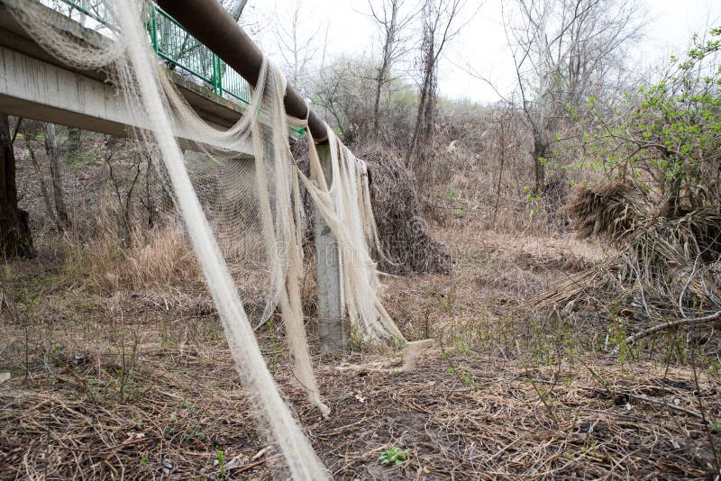Photographed spring park stock photo. Image of blue, national - 68228420