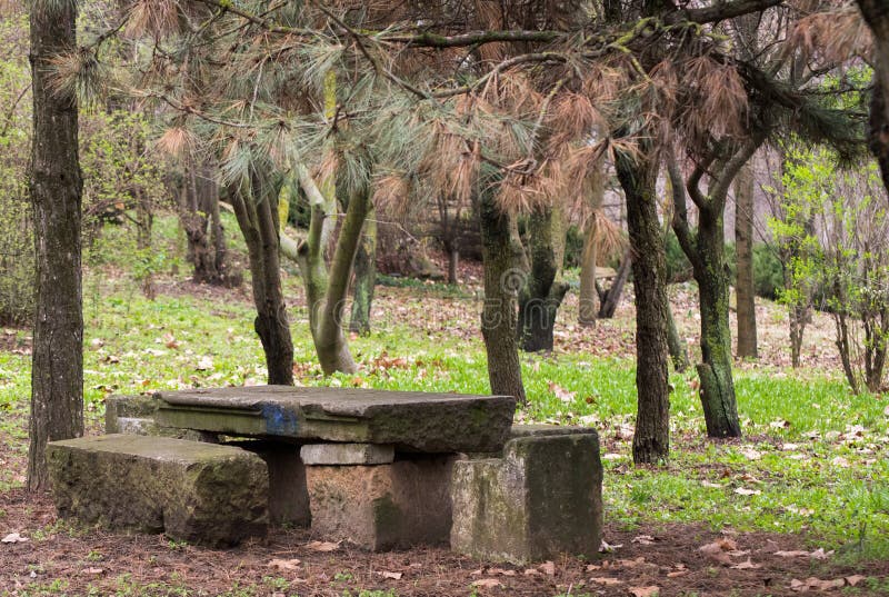 Photographed spring park stock image. Image of closeup - 68228665