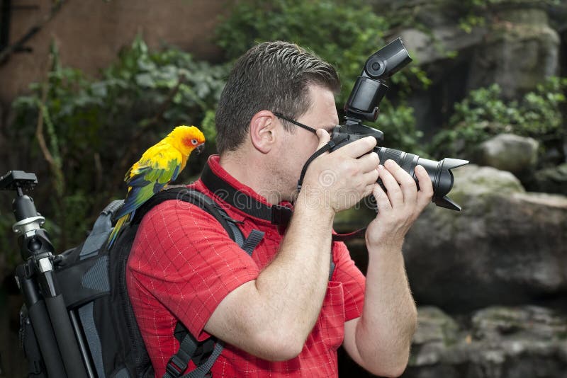 Photographer with Bird on the Shoulder Stock Image - Image of ...