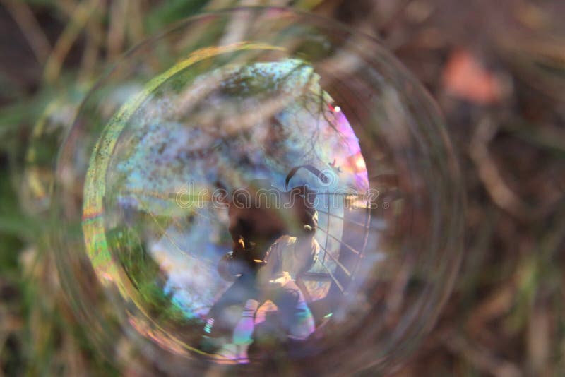 Photographer bubble stock image. Image of macro, inside - 65436875