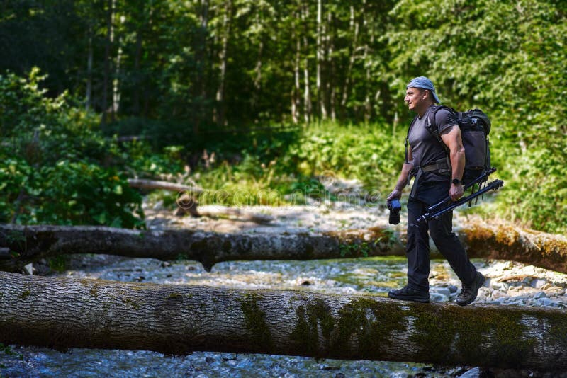 Photographer Crossing the River on a Fallen Tree Stock Photo - Image of ...