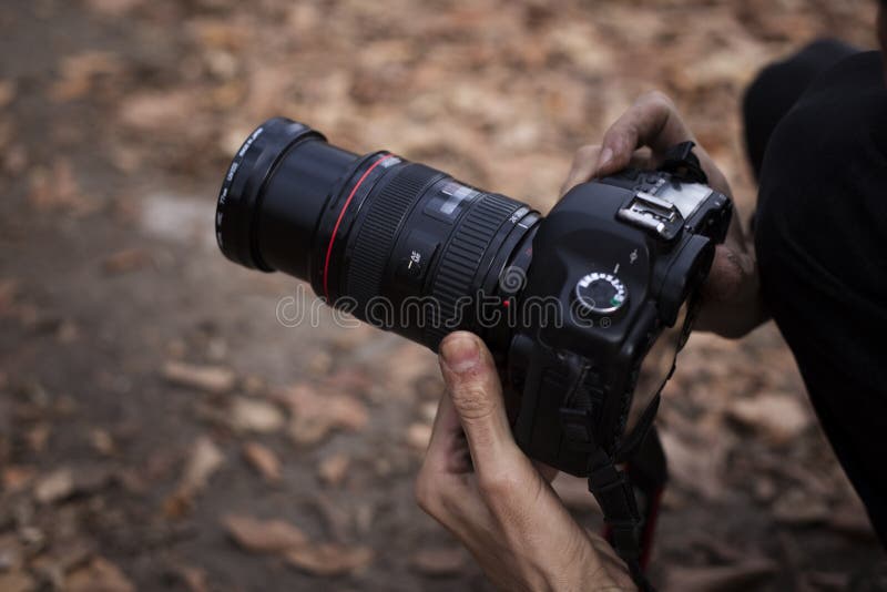 Photographer Holding a Camera Stock Photo - Image of nature, lens ...