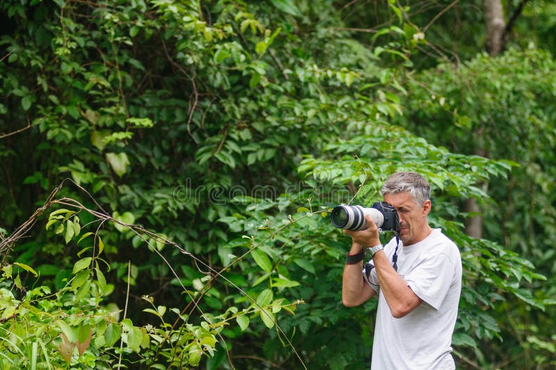 Photographer in the jungle stock image. Image of photographing - 44836077