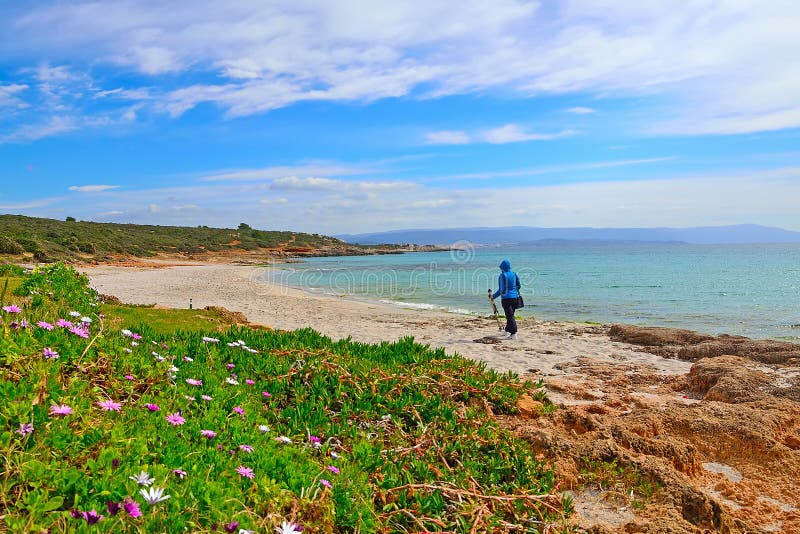 Photographer in Le Bombarde Beach Stock Image - Image of detail, spring ...