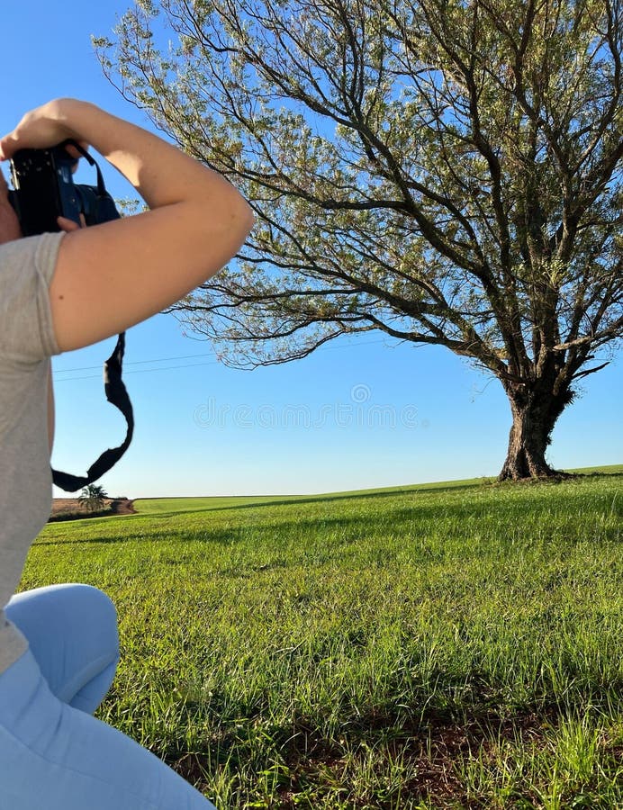 Photographer while pulling stock photo. Image of sunlight - 349020064