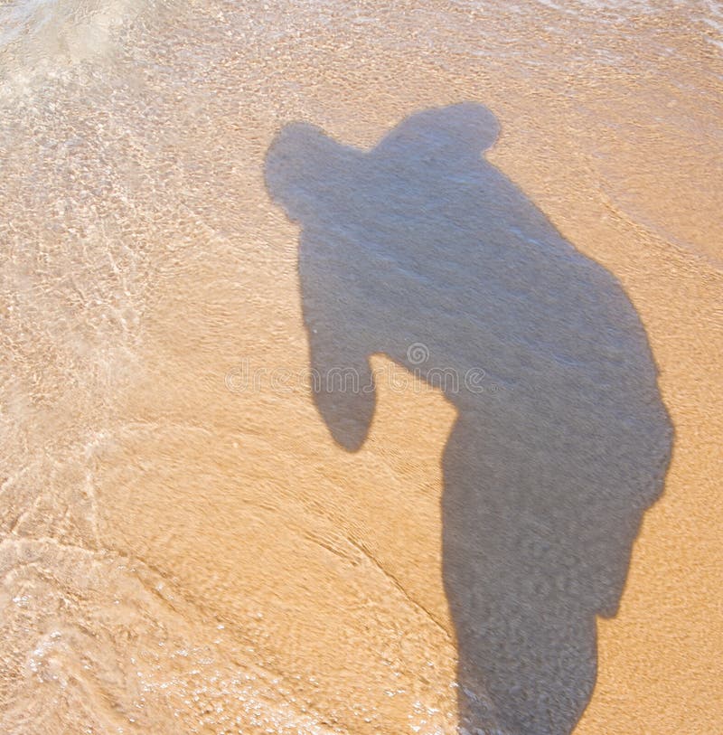 Shadow Photographer in the Sea Stock Image - Image of alone, dunes ...