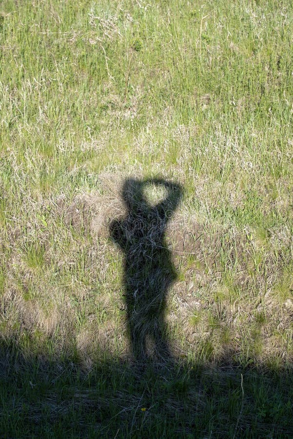 The Photographer`s Shadow on the Summer Grassy Ground . Stock Image ...