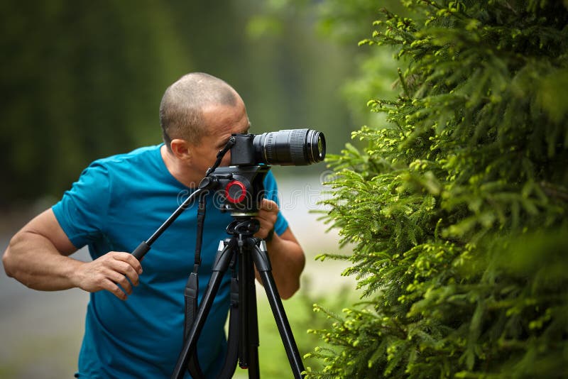 Photographer Shooting a Macro Scene Stock Image - Image of daylight ...