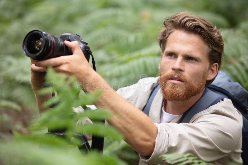 Photographer Shooting Scene in Forest Stock Image - Image of young ...