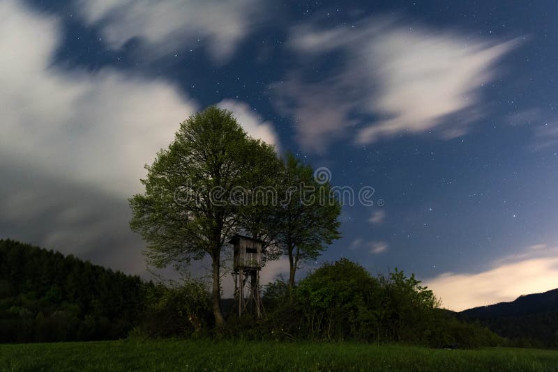 Hide on tree stock photo. Image of landscape, beautiful - 106476294