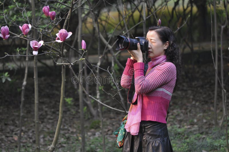 Photographer Working in Sunshine Stock Photo - Image of elegant ...
