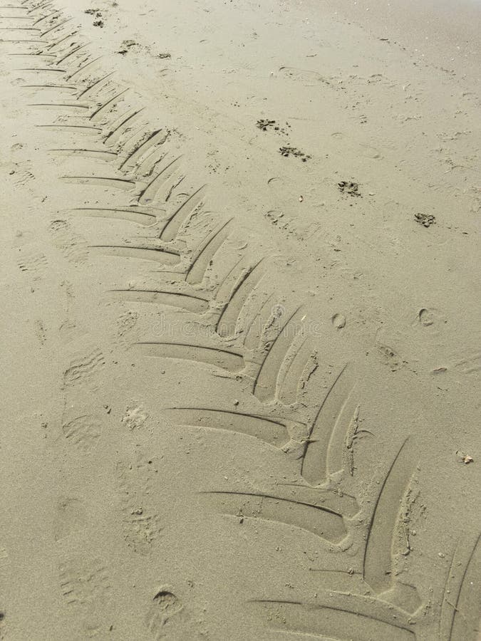 Photographic Documentation of Tire Footprint in Sand Stock Image ...