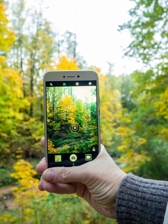 Photographing the Autumn Forest. Phone in Hand Stock Image - Image of ...