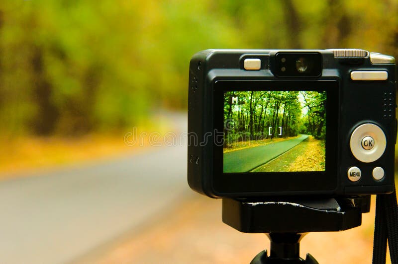 Photographing nature stock photo. Image of landscape - 34907838