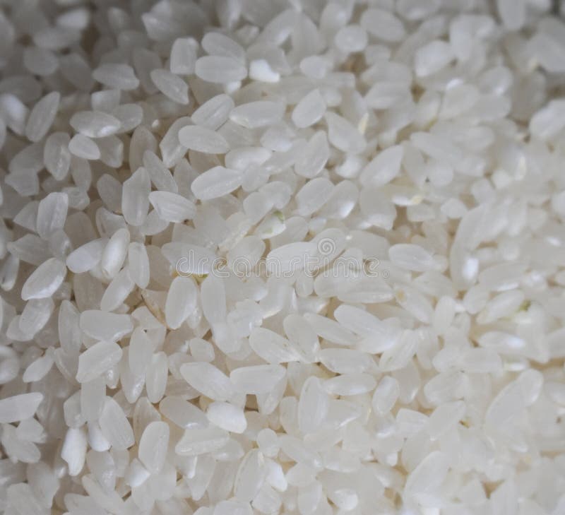 Photographing Organic White Rice Texture Background. Rice Background ...