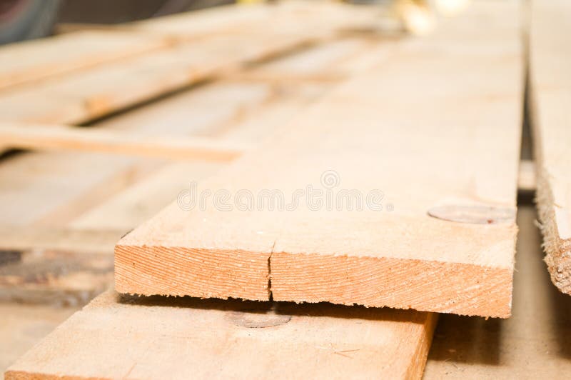 Photographing timber stock photo. Image of lumber, pine - 110794216