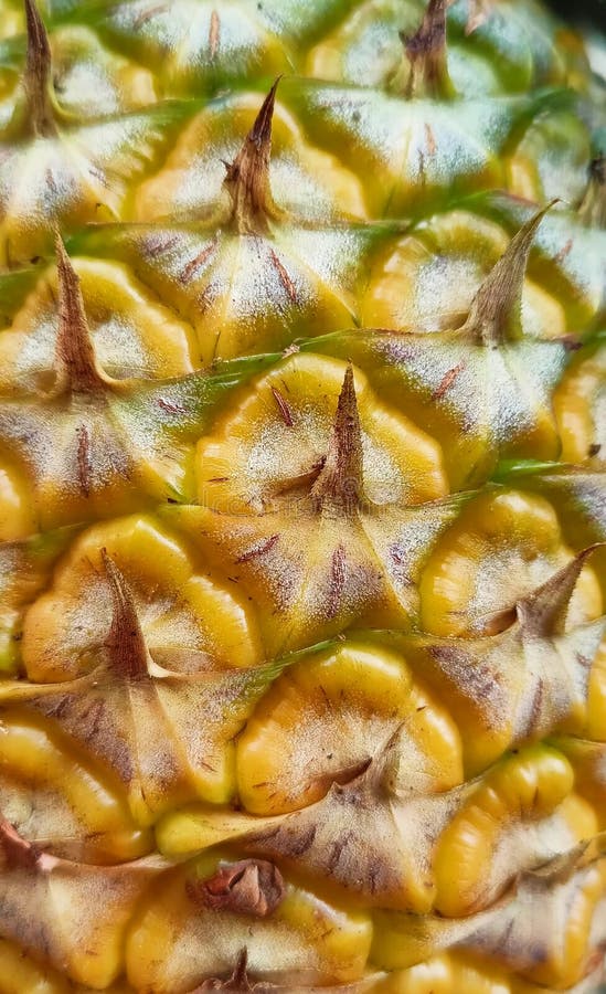Photography Background Nature of Pineapple Skin Stock Image - Image of ...