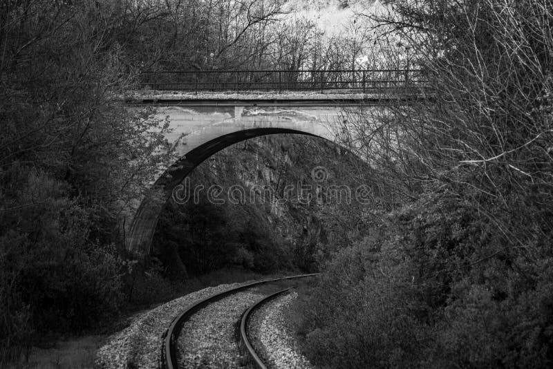 Photography of Bridge Over Railway Stock Image - Image of forest, road ...