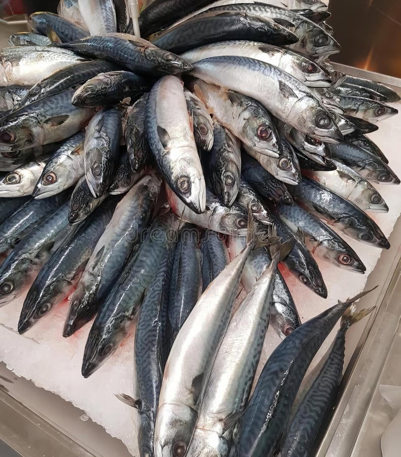A Photography of a Bunch of Fish on a Table, There are Many Fish that ...