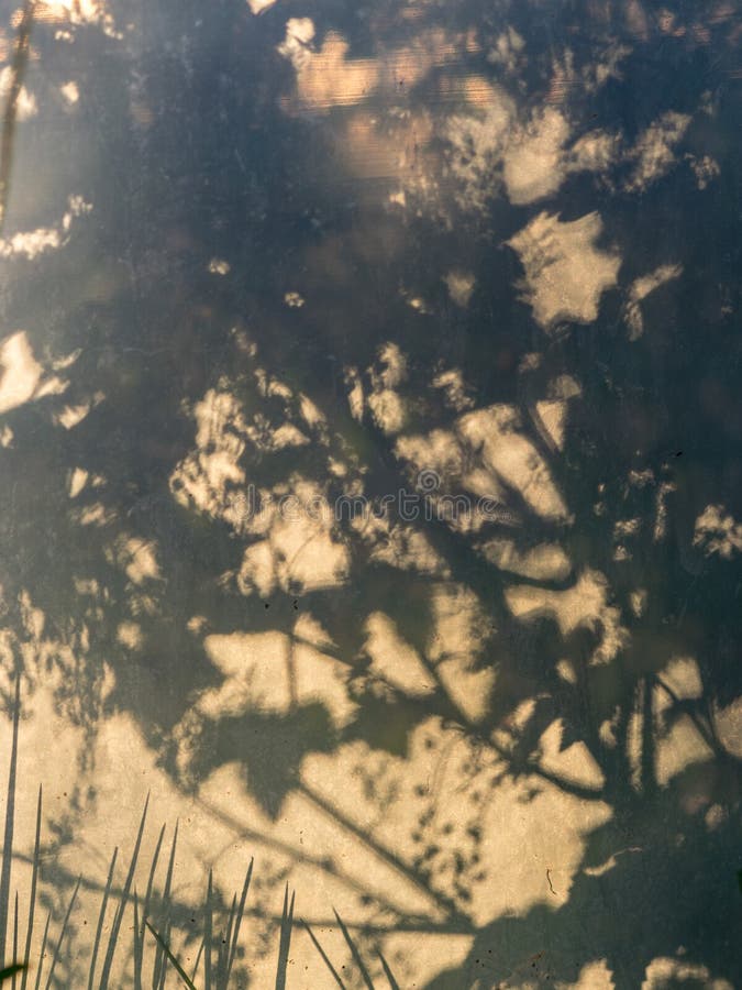 Photography with Different Shadows on an Uneven Surface, Suitable for ...